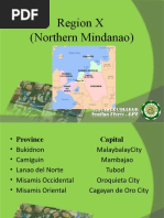 Region 10 Food Delicacies and Accomodations | PDF