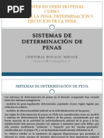 Modelo Req. Proceso Inmediato y Practica | PDF | Robo | Derecho penal