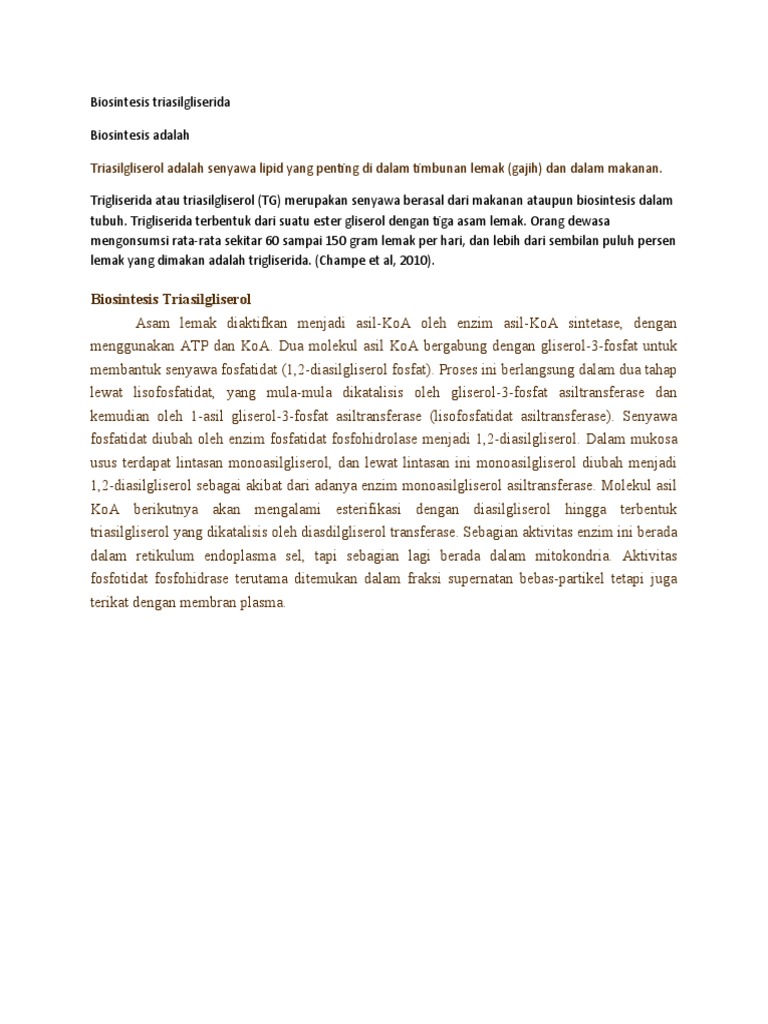 Biosintesis Triasilgliserida | PDF