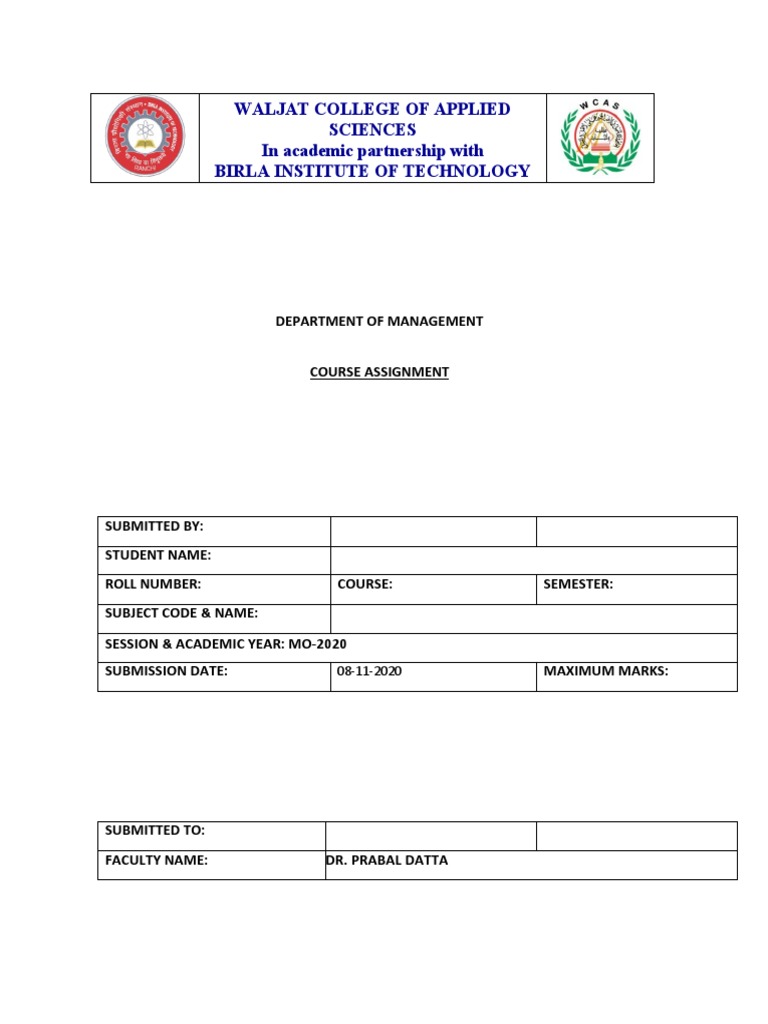 Course Assignment | PDF | Mathematical Optimization | Mathematics Of Computing