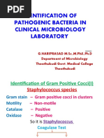 Biochemical Tests in Enterobacteriaceae | PDF | Chemical Compounds ...