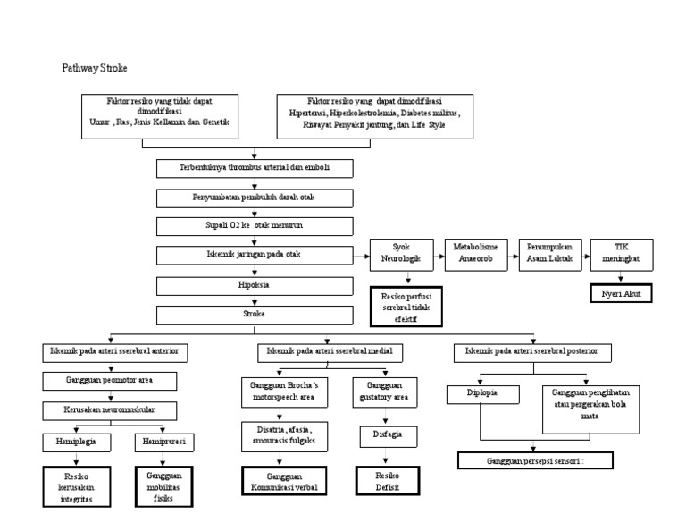 Pathway Stroke | PDF