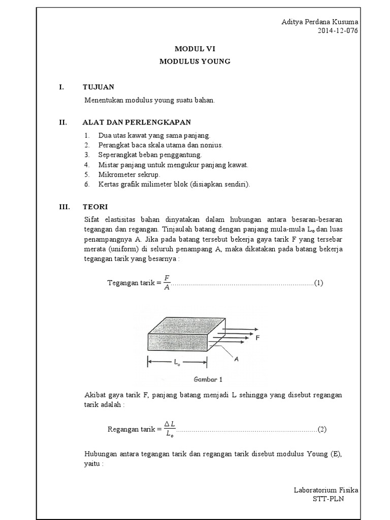 Modul 6 Modulus Young | PDF