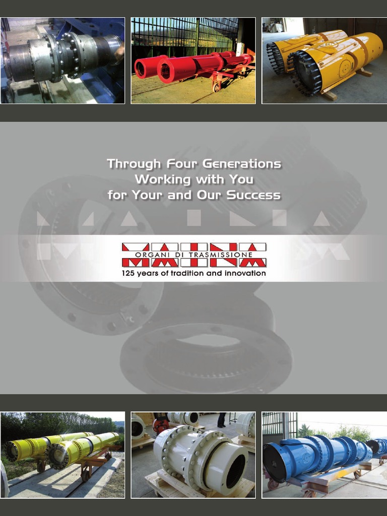 MAINA Brochure | PDF