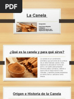 Sacha Culantro | PDF | Hierbas y especias | Alimentos