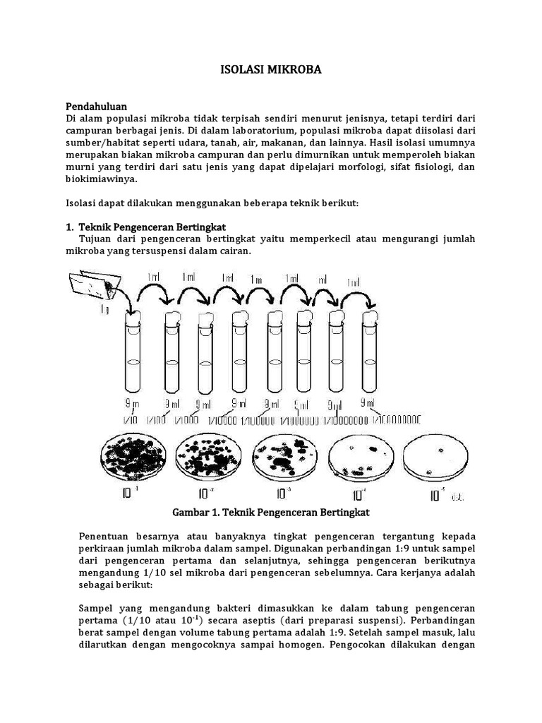 Teknik Isolasi Mikroba di Laboratorium | PDF