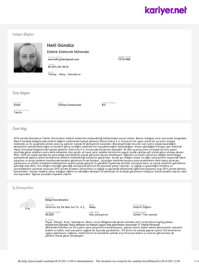 CV Halil Gunduz | PDF
