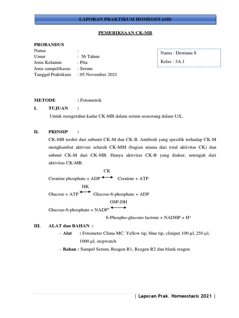 Laporan Pemeriksaan CKMB | PDF