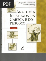 Anatomia das Regiões da Face | PDF | Olho humano | Rosto
