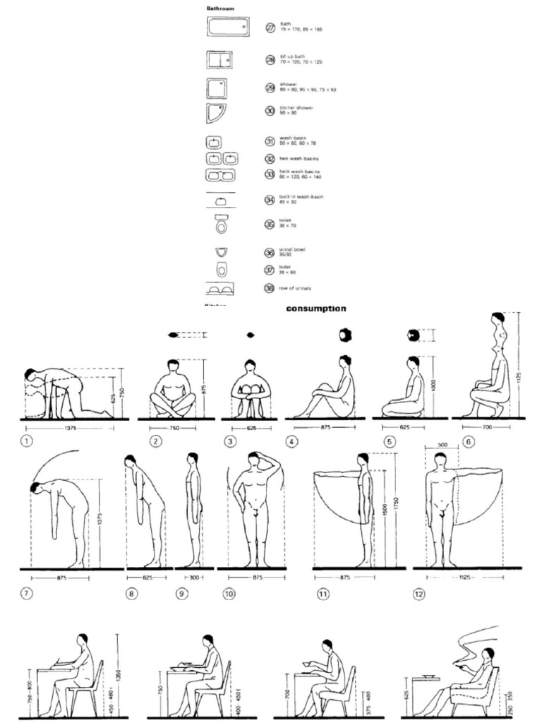 Antropometri Toilet | PDF