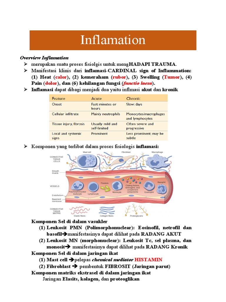 BMS5 2.inflammation | PDF