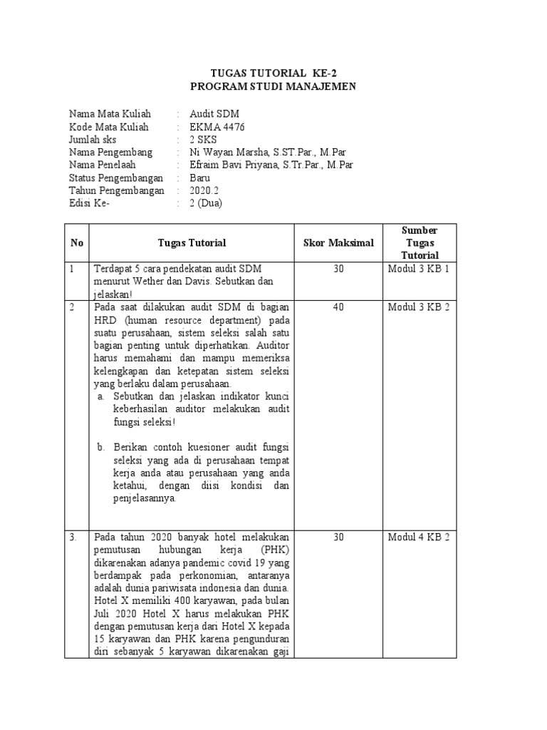 Tugas 2 Audit SDM 2020 | PDF