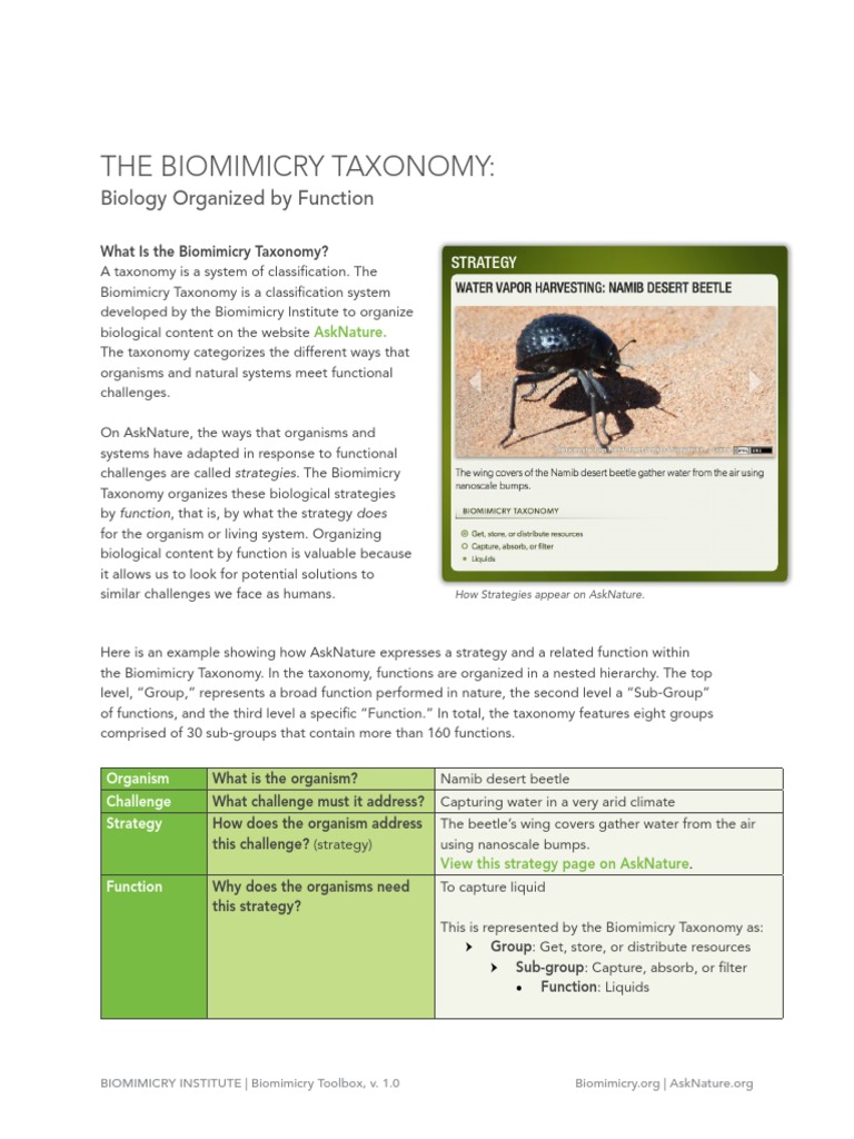 THE Biomimicry Taxonomy:: Biology Organized by Function | PDF ...
