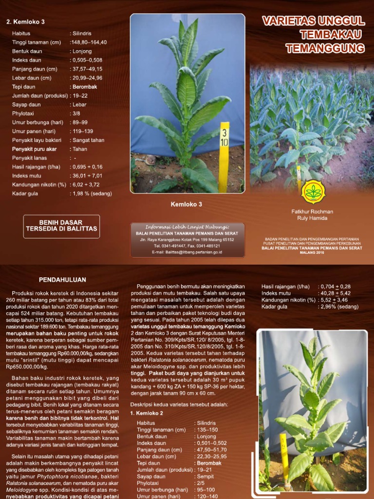 Varietas Unggul Tembakau Temanggung | PDF