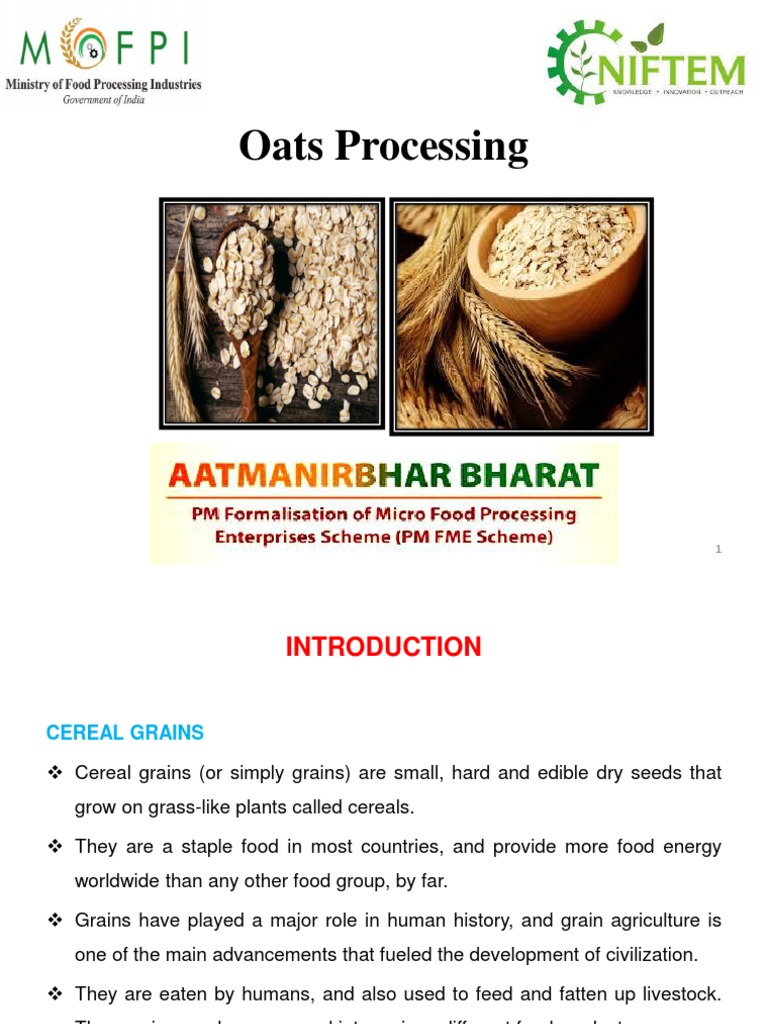 Oats Processing | PDF | Oatmeal | Oat