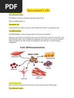 Specialised Animal Cells - Living Organisms - KS3 Biology - BBC ...