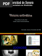 Guía de Profilaxis Antirrábica Humana | PDF | Rabia | Biología