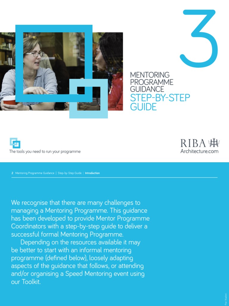 Step-By-Step Guide: Mentoring Programme Guidance | PDF | Mentorship | Risk