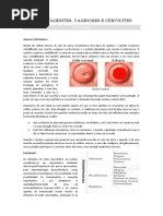 Ectopia Cervical: Definição e Tratamento | PDF | Câncer cervical ...