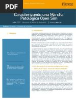 Marcha Trendelenburg: Análisis y Alteraciones | PDF | Pelvis | Sistema ...