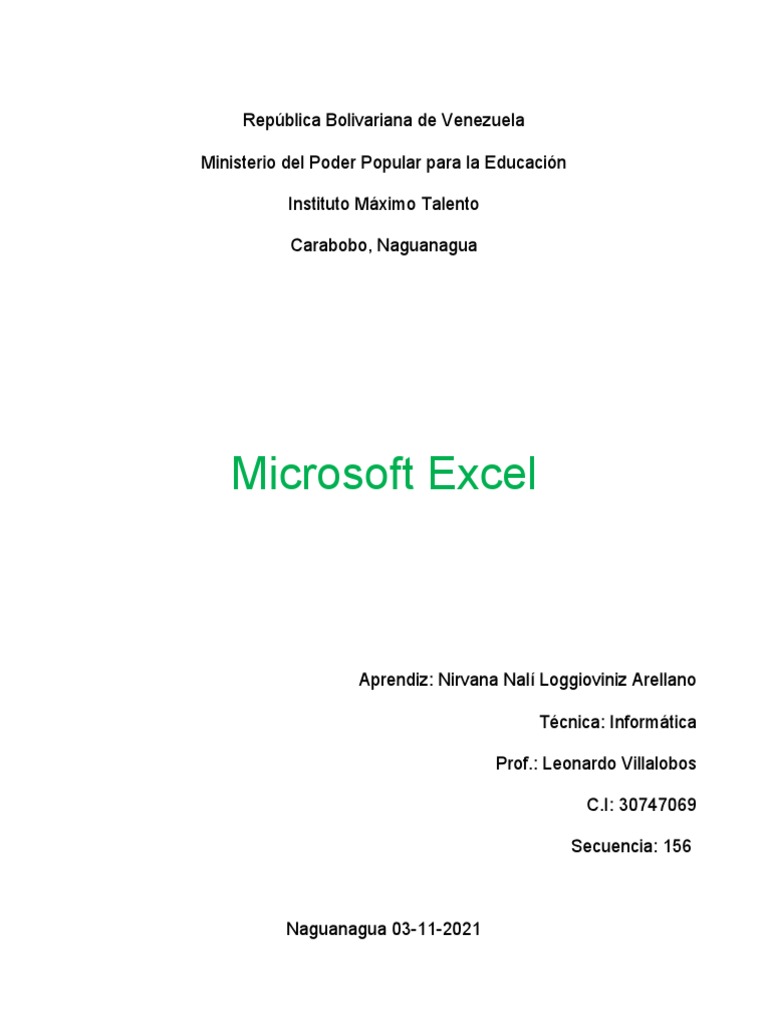 Informe de Microsoft Excel | PDF | Microsoft Excel | Microsoft