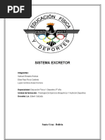 Toma de Bililabstix | PDF | Orina | Química