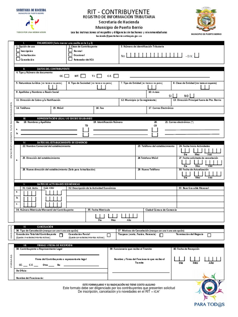 Formato RIT | PDF | Business | Economias