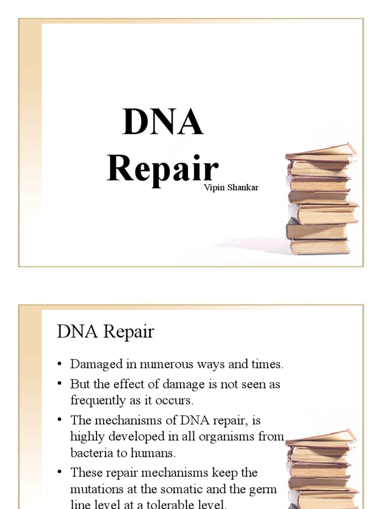 DNA Repair | PDF | Dna Repair | Dna