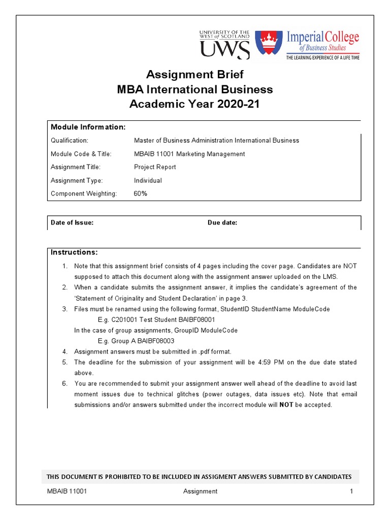 MBAIB 11001 Marketing Management Assignment | PDF | Innovation | Marketing Strategy