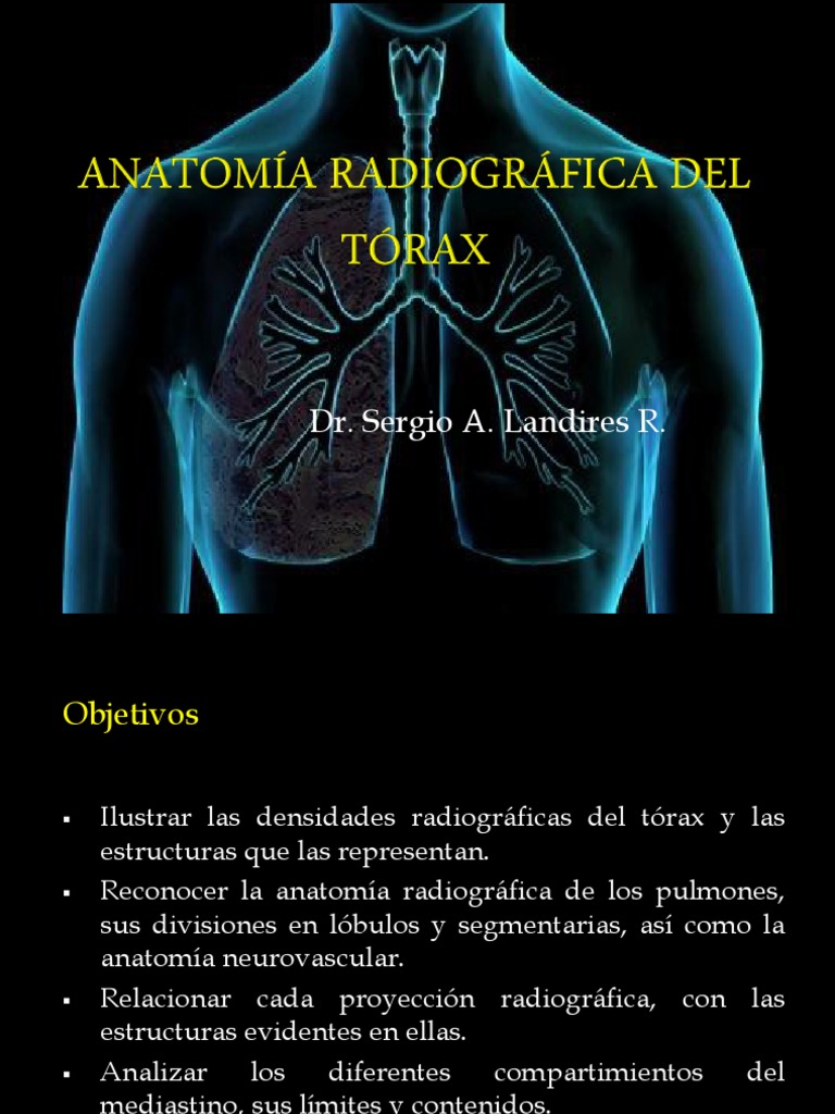 1 - Anatomia Radiografica Torax | PDF | Pulmón | Tórax