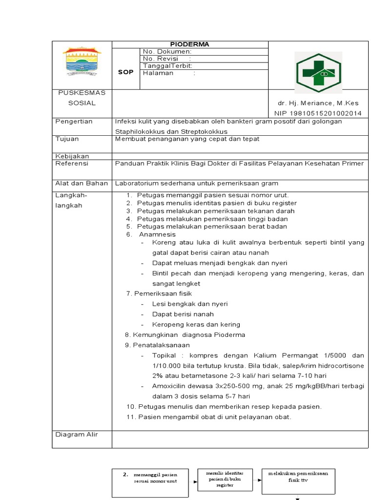 Panduan Penanganan Pioderma | PDF