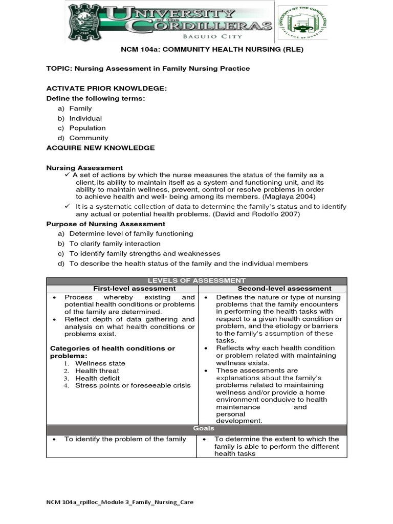 Family Nursing Assessment Framework | PDF | Physical Examination | Family