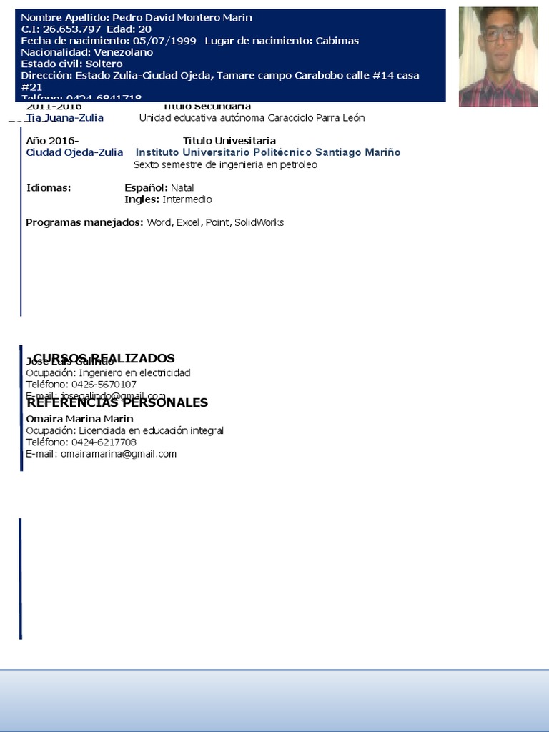 Curriculum Pedro Montero Hijo | PDF