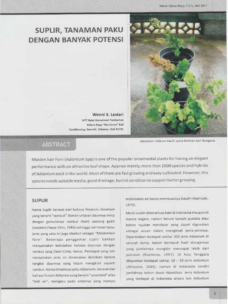 433-Article Text-794-1-10-20200803 | PDF