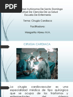 Anatomía y disección de la arteria mamaria interna | PDF | Tórax | Aorta