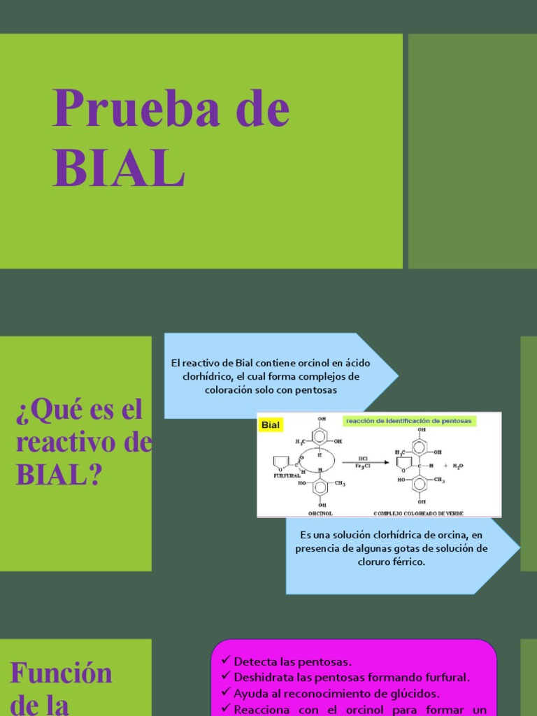 Prueba de Bial para Pentosas | PDF