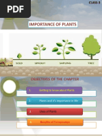 Importance of Plants in Daily Life | PDF | Home & Garden | Wellness