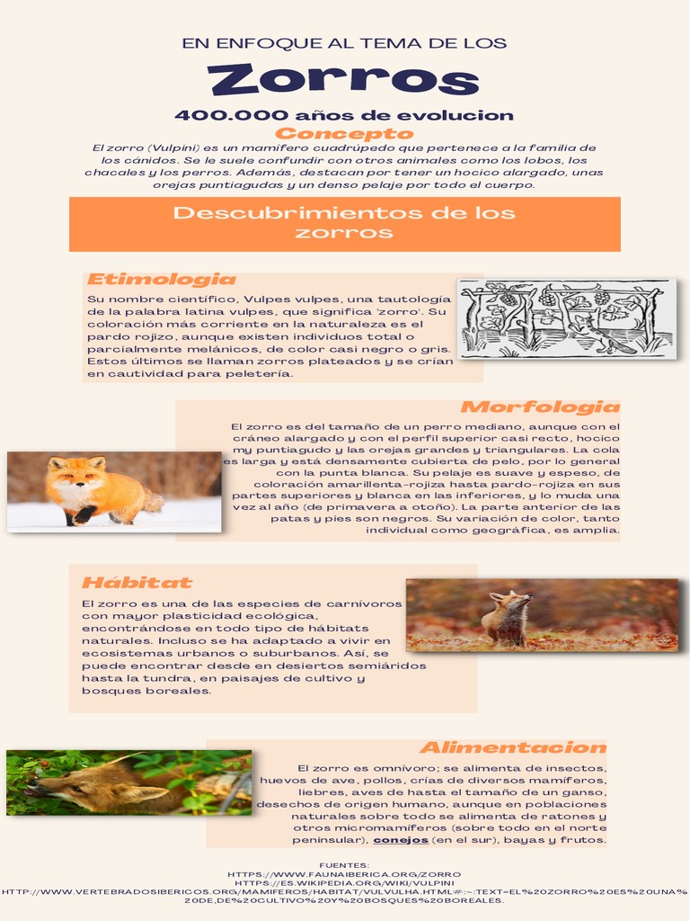 Infografía de Los Zorros | PDF | Zoología
