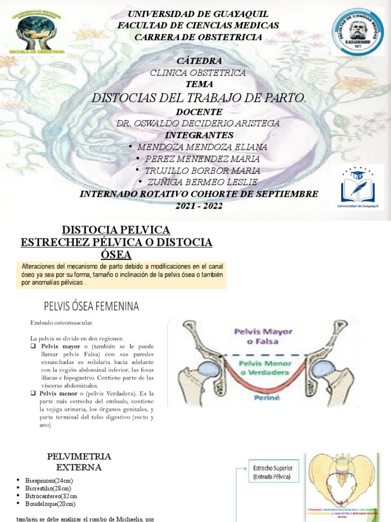 Exposicion Distocias Del TP | PDF | Parto | Pelvis