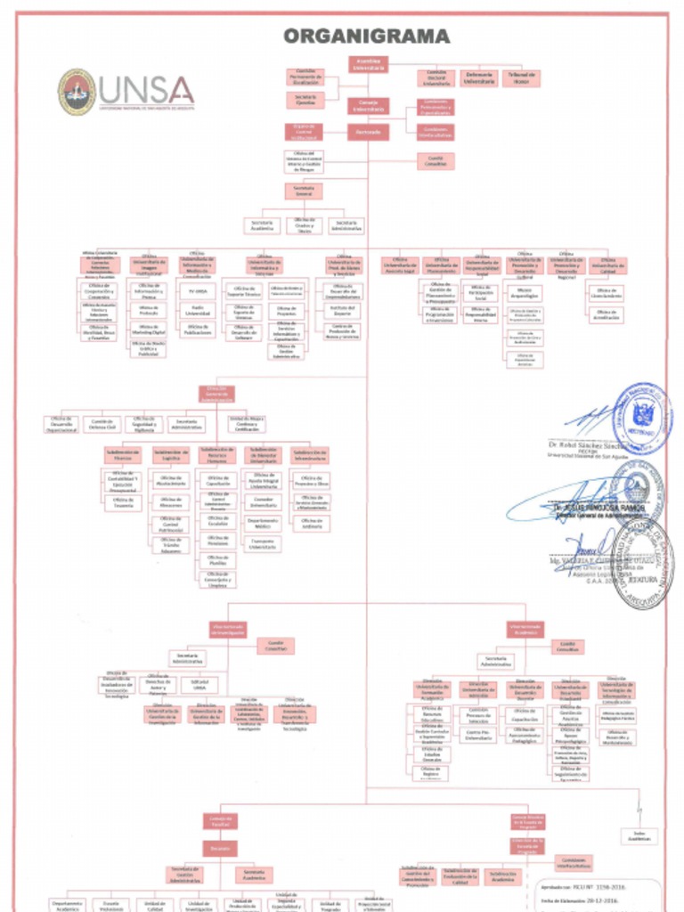 Organigramas de la UNSA y Avianca | PDF
