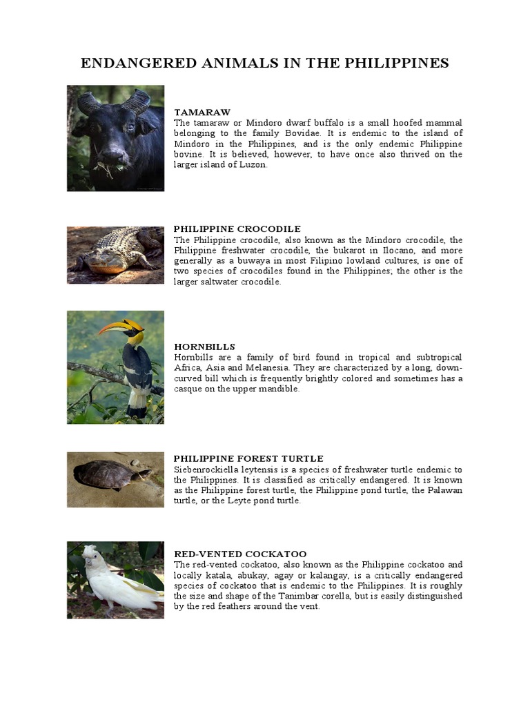 Endangered Animals in The Philippines | PDF