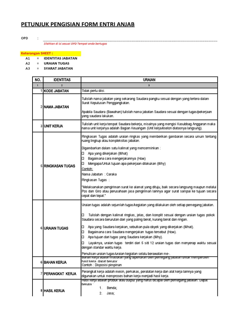 Panduan Pengisian Form Anjab OPD | PDF