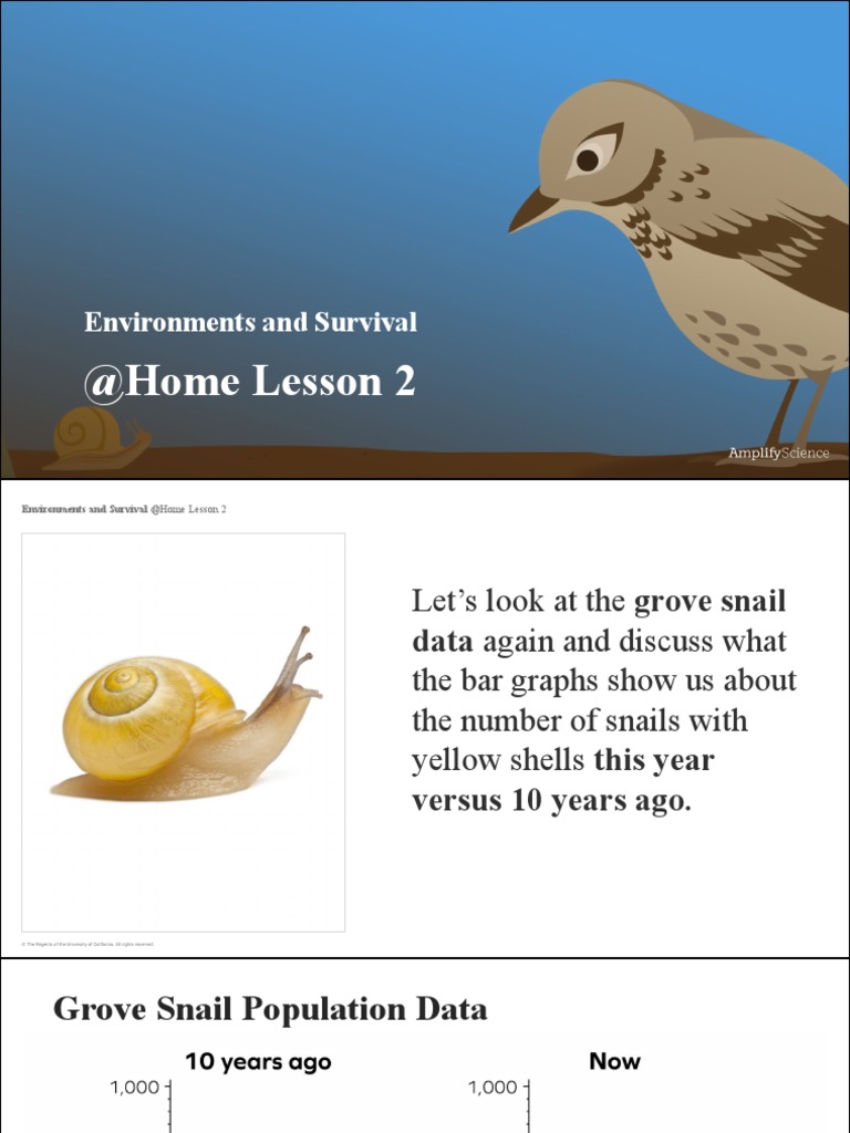 Environments and Survival @home Slides - Lesson 2 | PDF | Desert ...