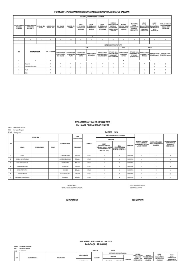 Format Pengisiaan Data Stunting 2020 | PDF