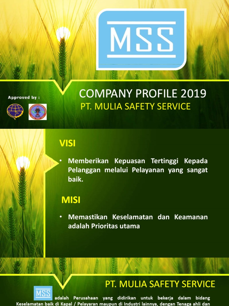 Company Profile MSS 2019 | PDF