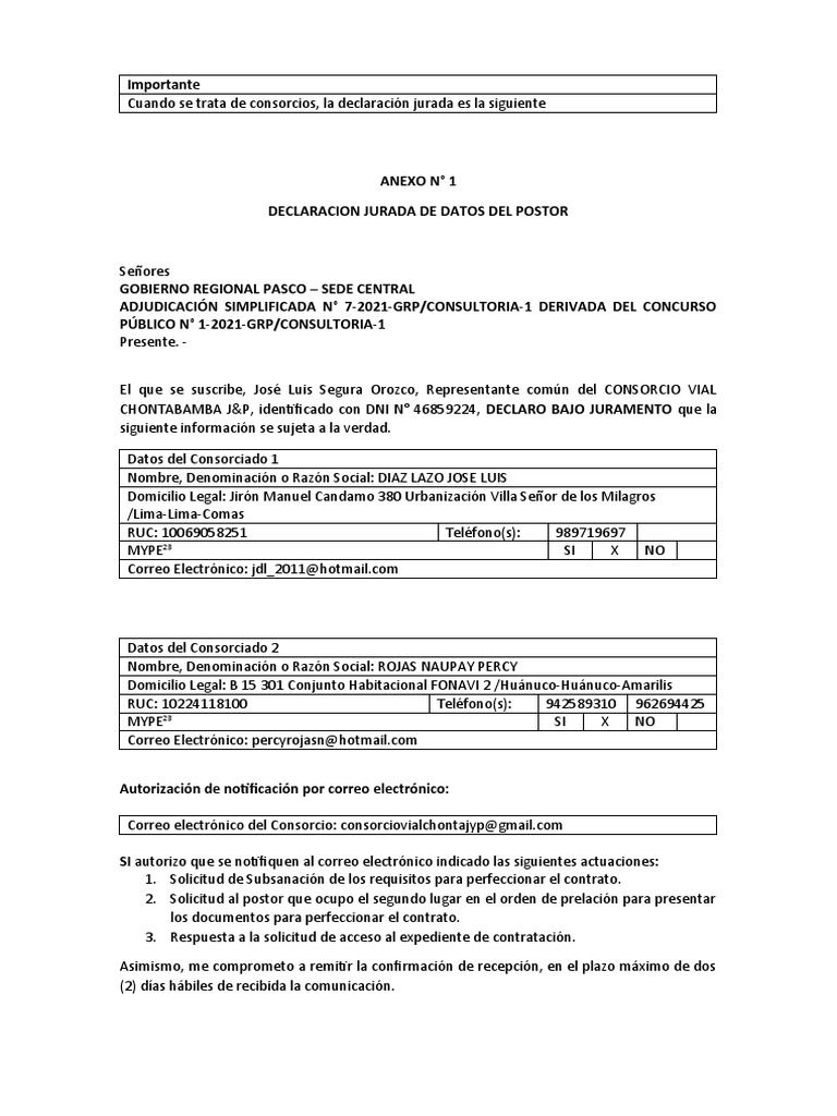 ANEXO N 01 (Consorcio) | PDF