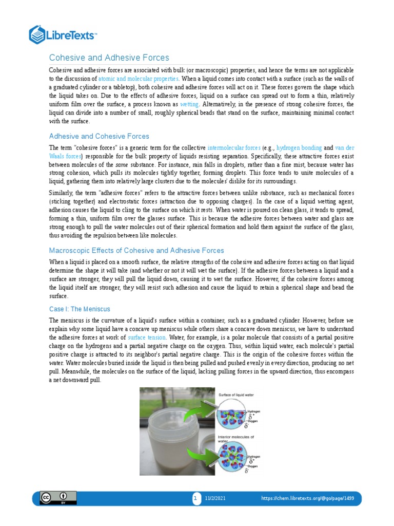 Cohesive vs Adhesive Forces Explained | PDF | Adhesion | Liquids