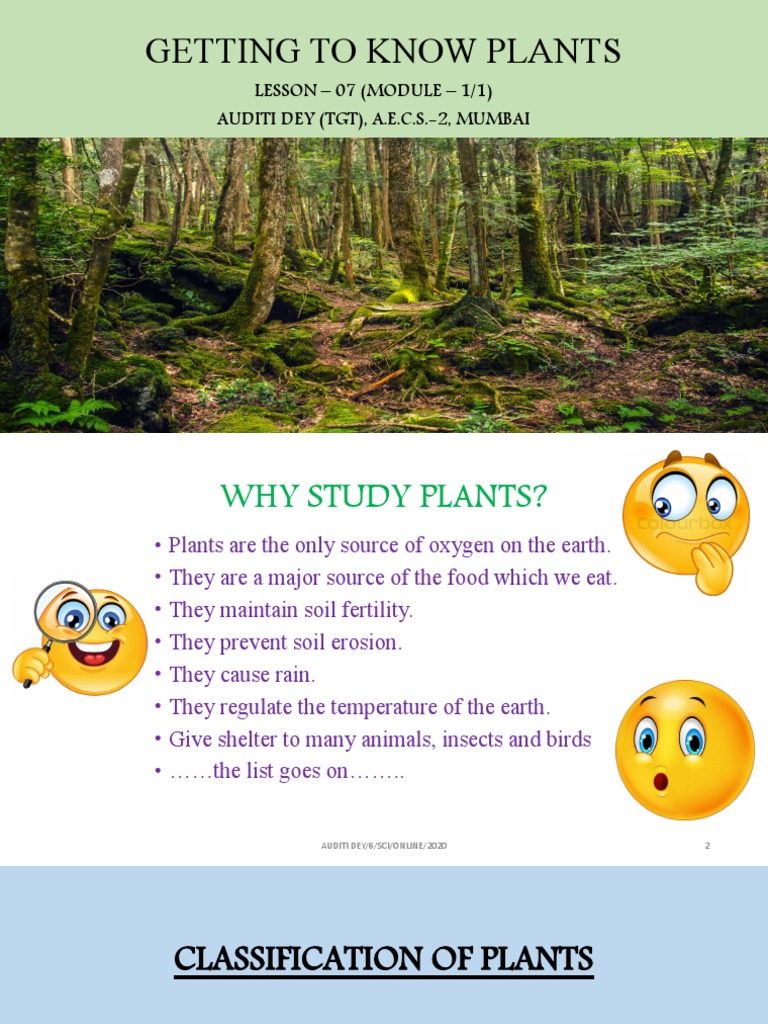Class 6, Science, PPT, Getting To Know Plants | PDF | Leaf | Petal