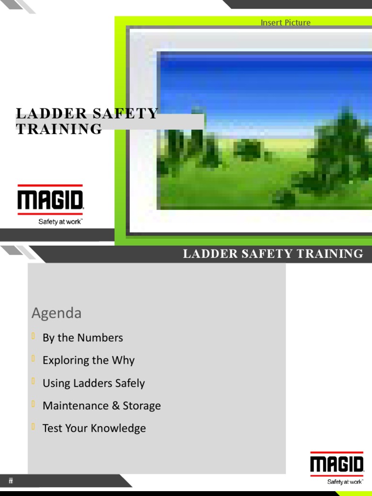 Ladder Safety Training: Insert Picture | PDF | Ladder