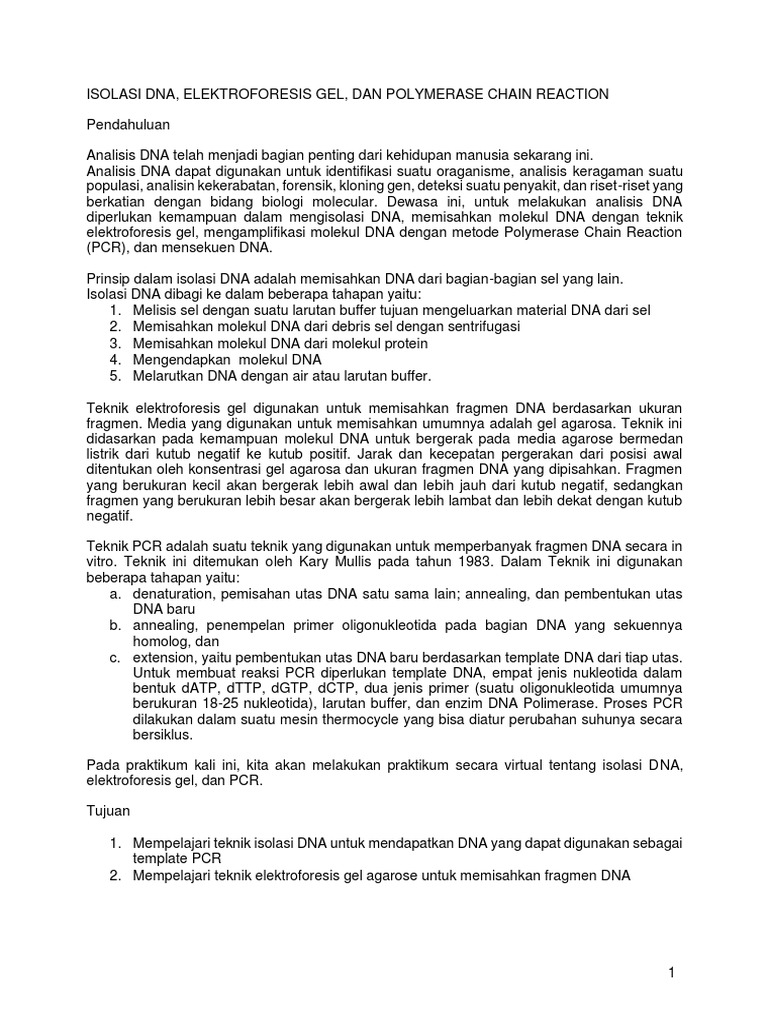 Teknik Isolasi DNA dan PCR | PDF